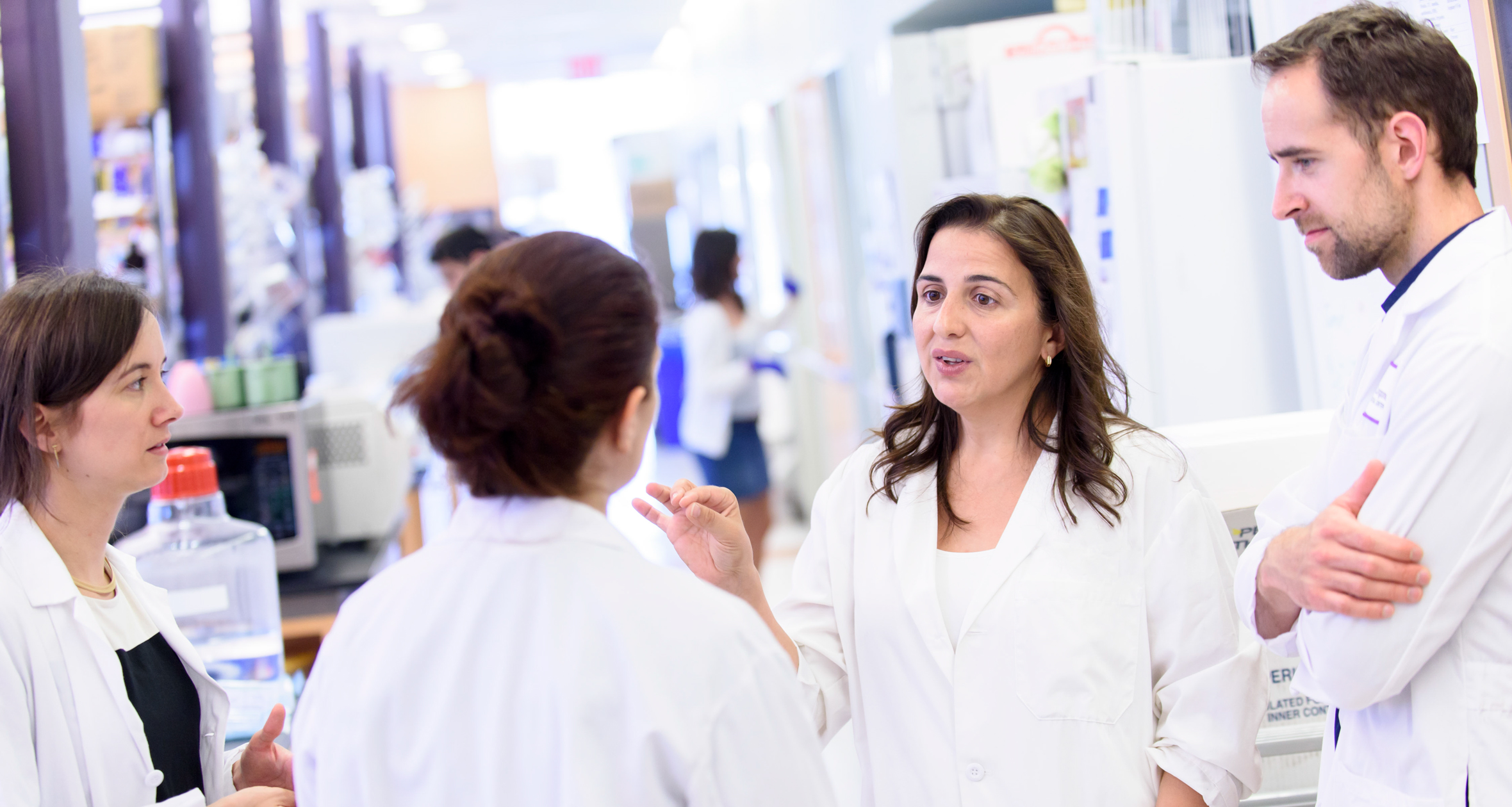 Clarifying the Mechanics of Melanoma Metastasis - NYU Langone Health Physician Focus